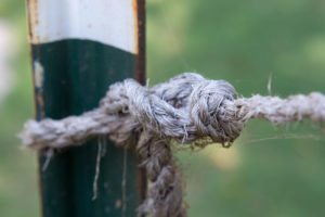Knotted